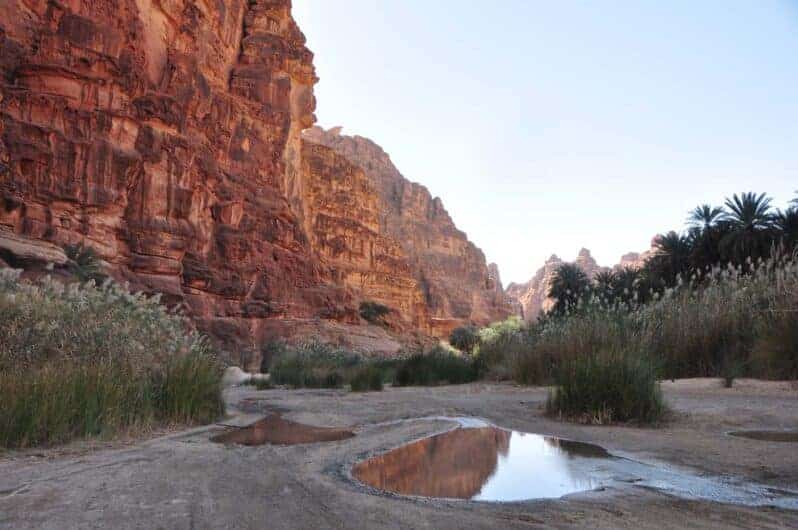 Wadi al Disah in Saudi-Arabien: Unterwegs im Tal der Palmen ...
